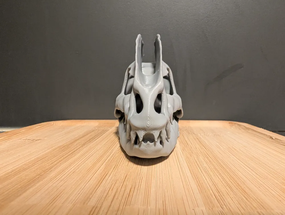 Cráneo de Dilophosaurus, dinosaurio por Garsoncreative MakerWorld: Descarga Modelos 3D Gratuitos