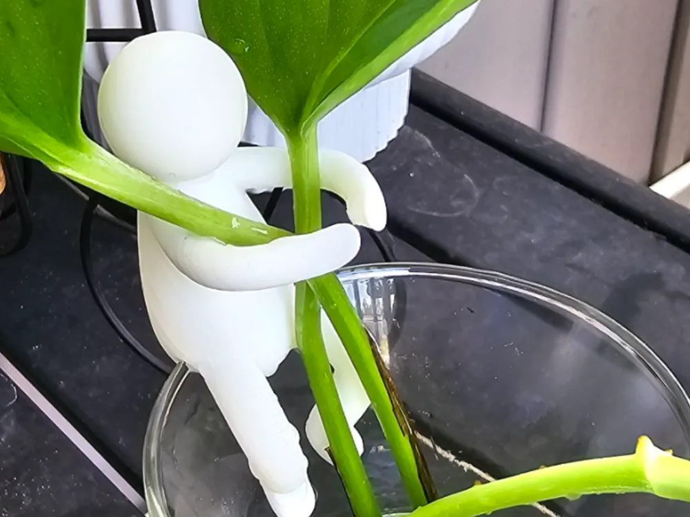 Propagation Buddy - plant support figures - Free 3D Print Model ...