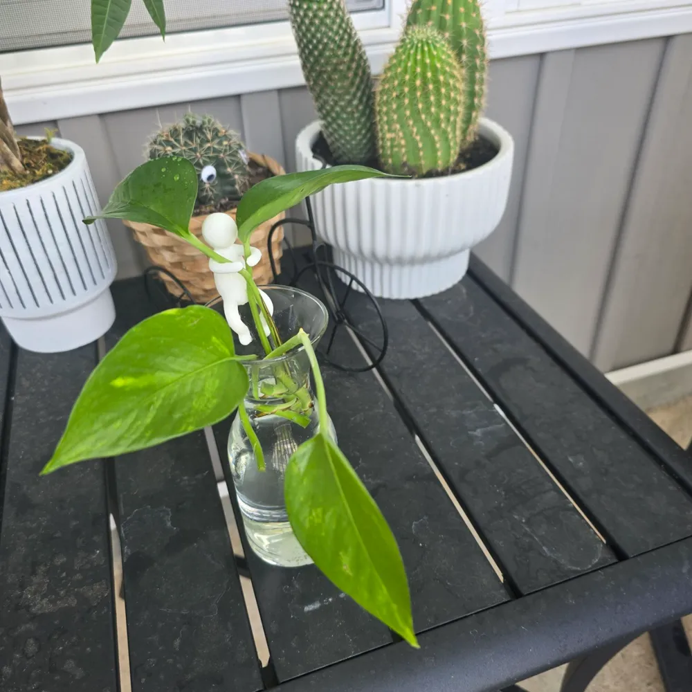 Propagation Buddy - plant support figures by VRsculpts MakerWorld ...