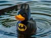 Bat Duck by Romwba3D - MakerWorld