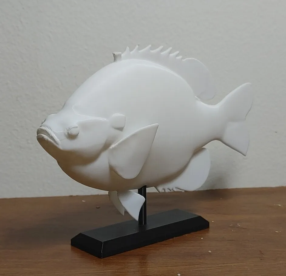 Bluegill Fish Mount 2 by Fish Prints MakerWorld: Download Free 3D Models