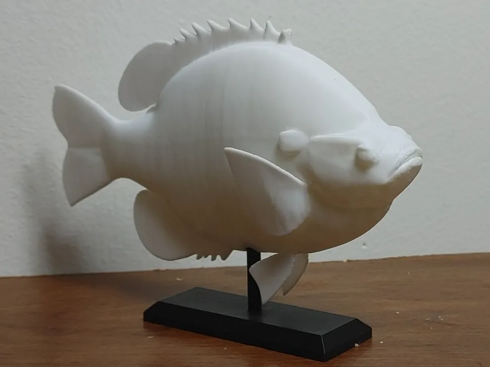 Bluegill Fish Mount 2 by Fish Prints MakerWorld: Download Free 3D Models