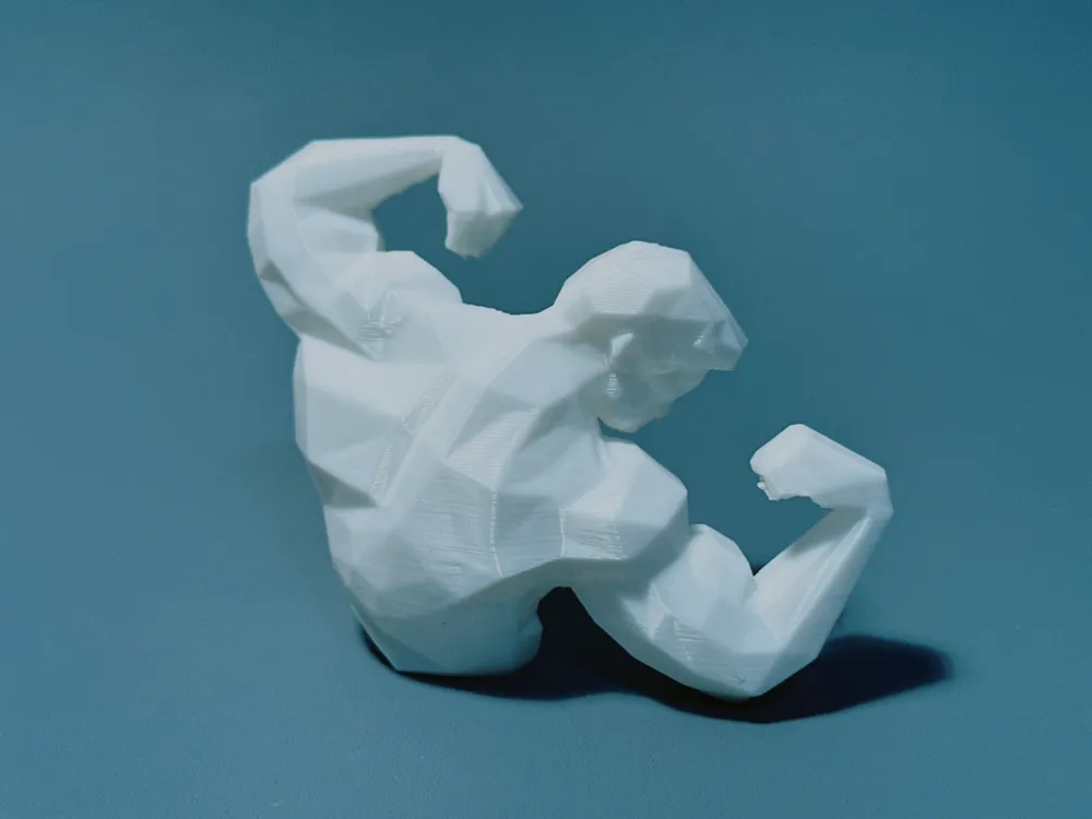 lowpoly Bodybuilding expert - Free 3D Print Model - MakerWorld