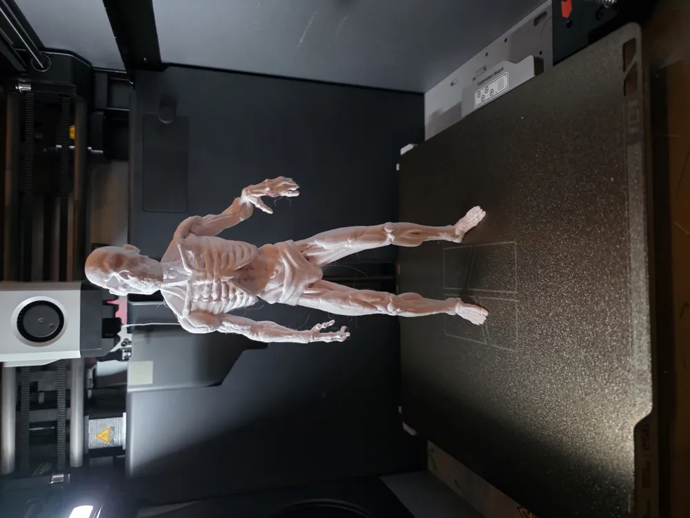 Zombie by DTM247 MakerWorld: Download Free 3D Models