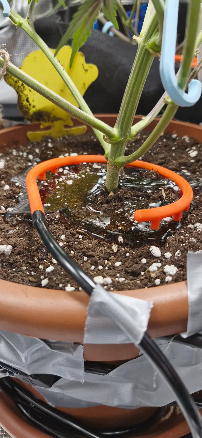 Irrigation Grow - Free 3D Print Model - MakerWorld