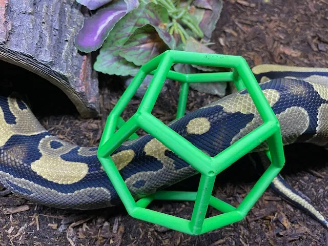 Dodecahedron Snake Enrichment Toy by MetaMatter 3D MakerWorld: Download ...
