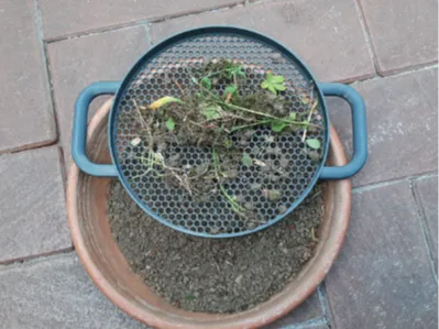 Old Lady | Home - MakerWorld