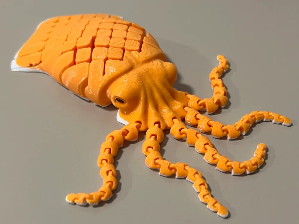 Flexi Cuttlefish by ASTAR MakerWorld: Download Free 3D Models
