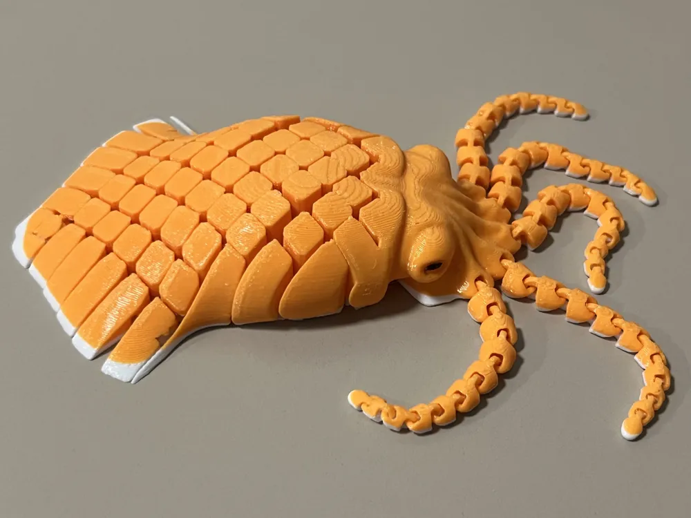 Flexi Cuttlefish by ASTAR MakerWorld: Download Free 3D Models