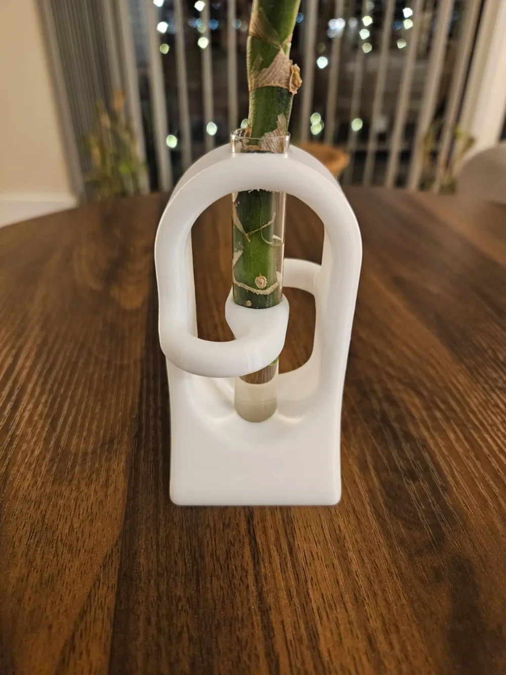 Small plant propagator by flessa - MakerWorld