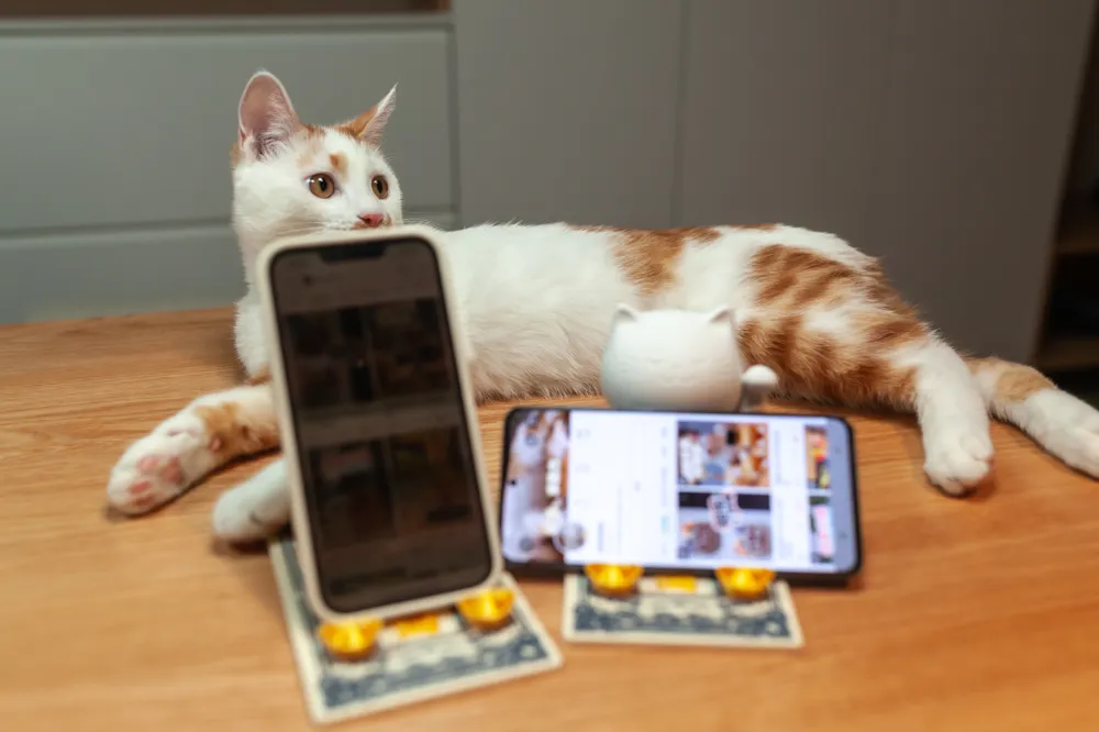 Lucky Cat Phone Stand-Catch the Fortune - Free 3D Print Model - MakerWorld