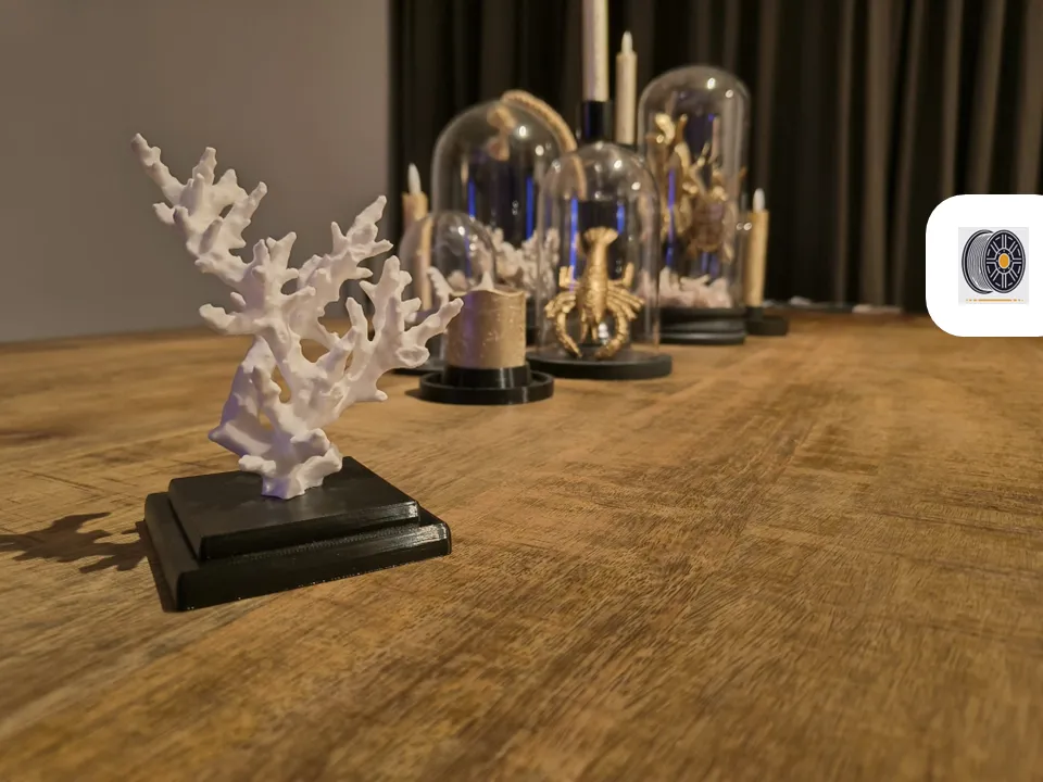 Coral_01 | Minimalistic nature decor by Mike.stl MakerWorld: Download ...