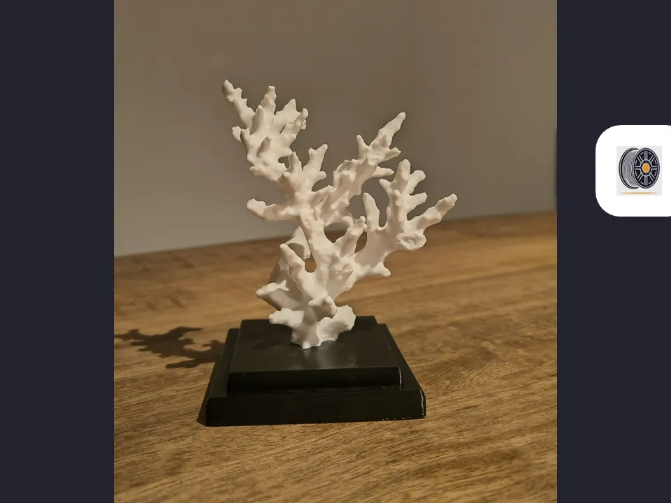Coral_01 | Minimalistic nature decor by Mike.stl MakerWorld: Download ...