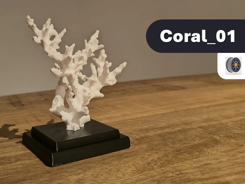 Coral_01 | Minimalistic nature decor - Free 3D Print Model - MakerWorld