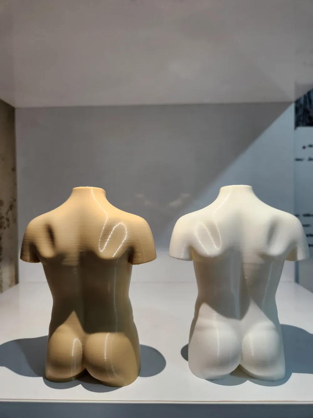 Human torso anatomy by AmeliaLab MakerWorld: Download Free 3D Models