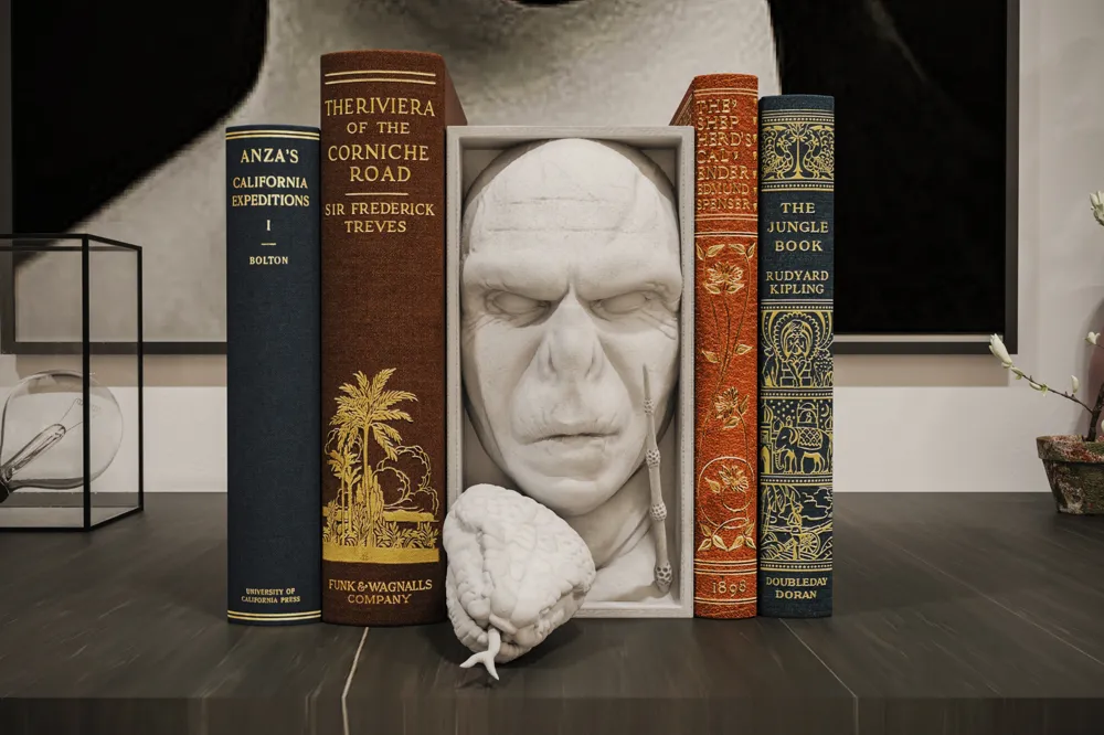 Voldemort Book Nook and Wall Mount by Treddigineer MakerWorld: Download ...