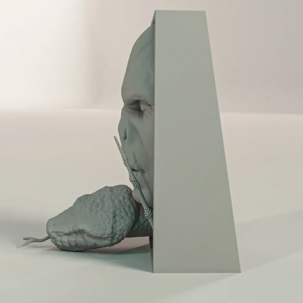 Voldemort Book Nook and Wall Mount by Treddigineer MakerWorld: Download ...