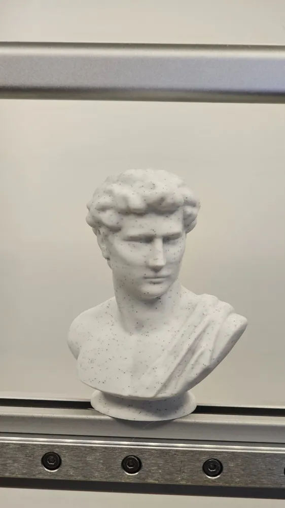 David Bust – Modern Speckled Marble Sculpture by Collektiva MakerWorld ...