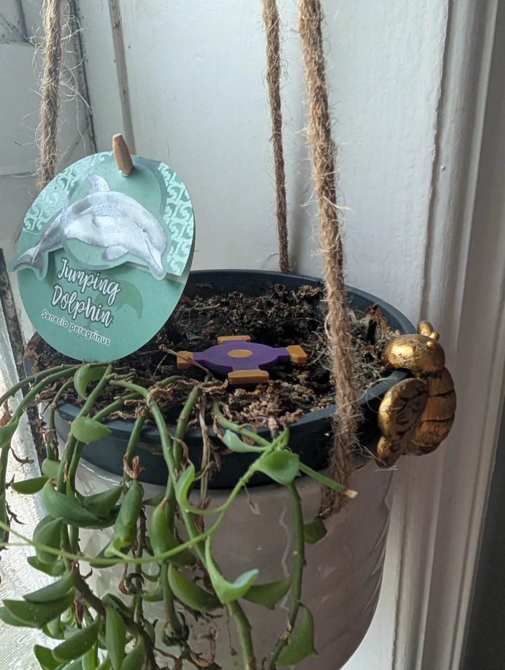 Iridium Sprinkler Plant Buddy/ Plantpot Decoration by GBCreative ...