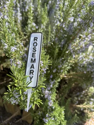 Plant Label Customizable - Free 3D Print Model - MakerWorld