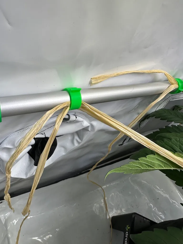 Plant Training Frame for Branch Positioning by bo - MakerWorld