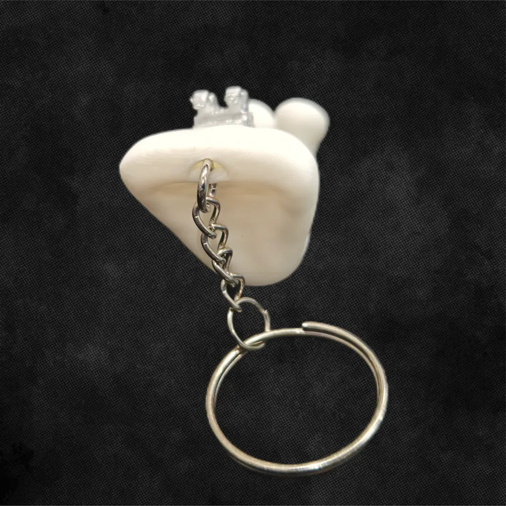 Incisor Buddy Keychain (3 versions) - Free 3D Print Model - MakerWorld