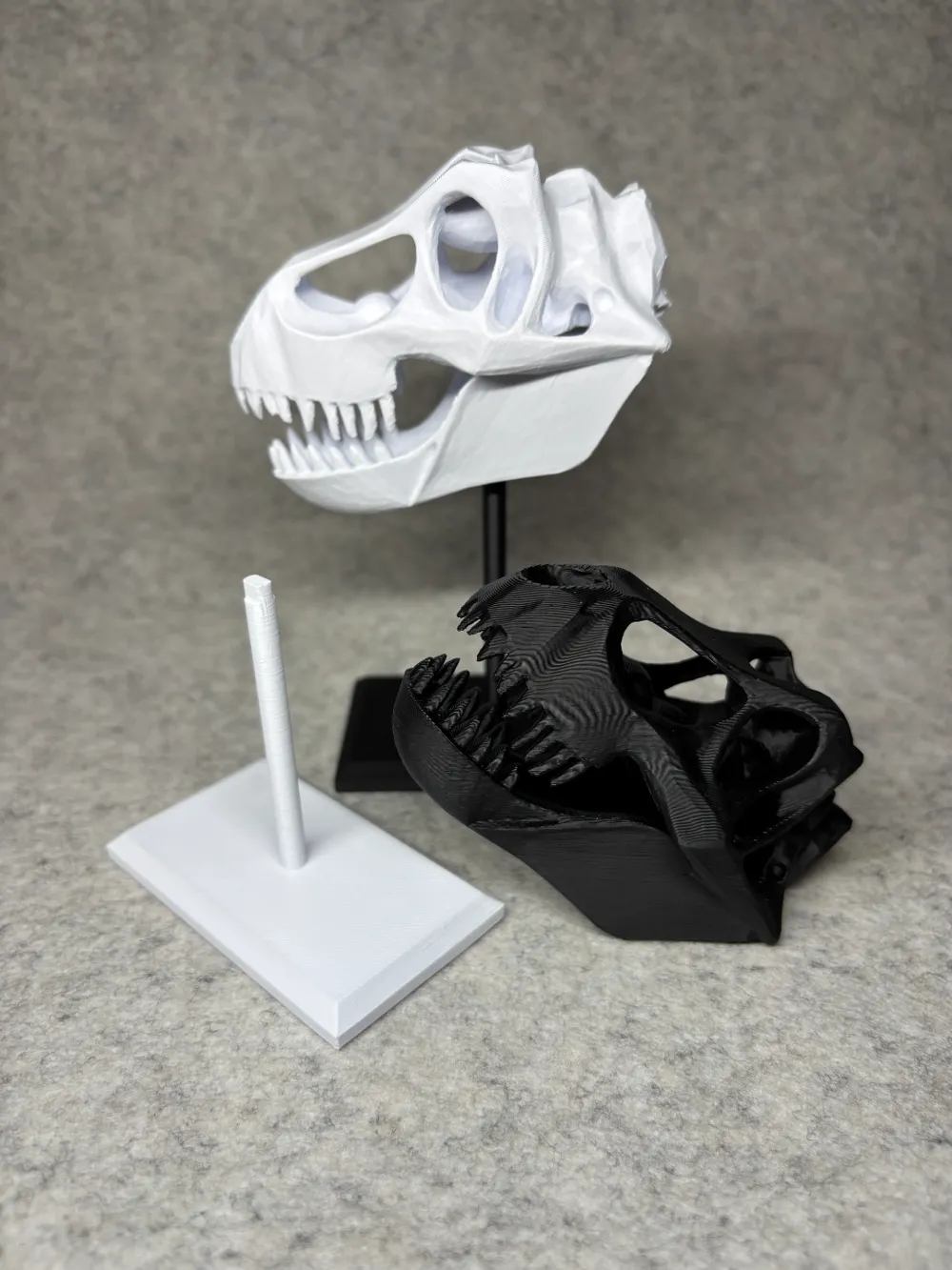 霸王龙头骨奖杯 来自 KUSMIJN - MakerWorld