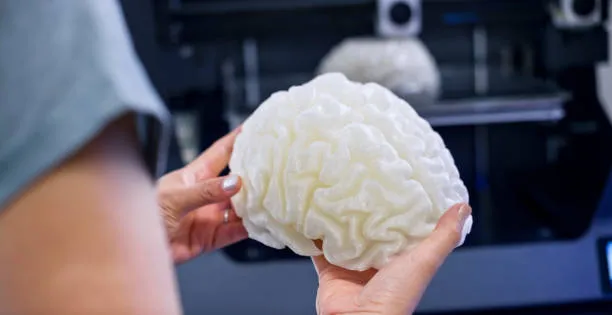Brain by BLabX1C - MakerWorld