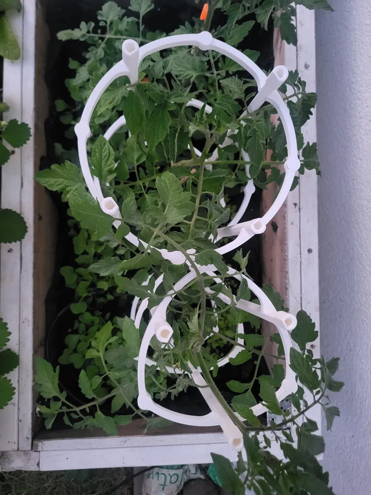 Modular Tomato Support ring. Plants. Vegetables. - Free 3D Print Model ...