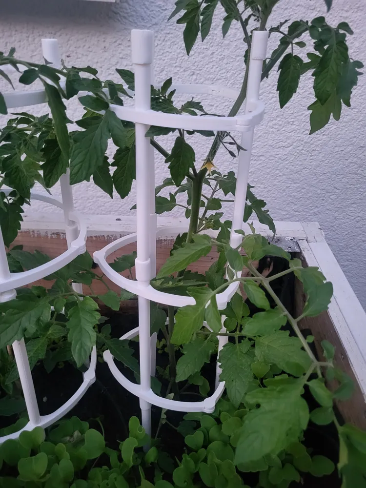 Modular Tomato Support ring. Plants. Vegetables. - Free 3D Print Model ...