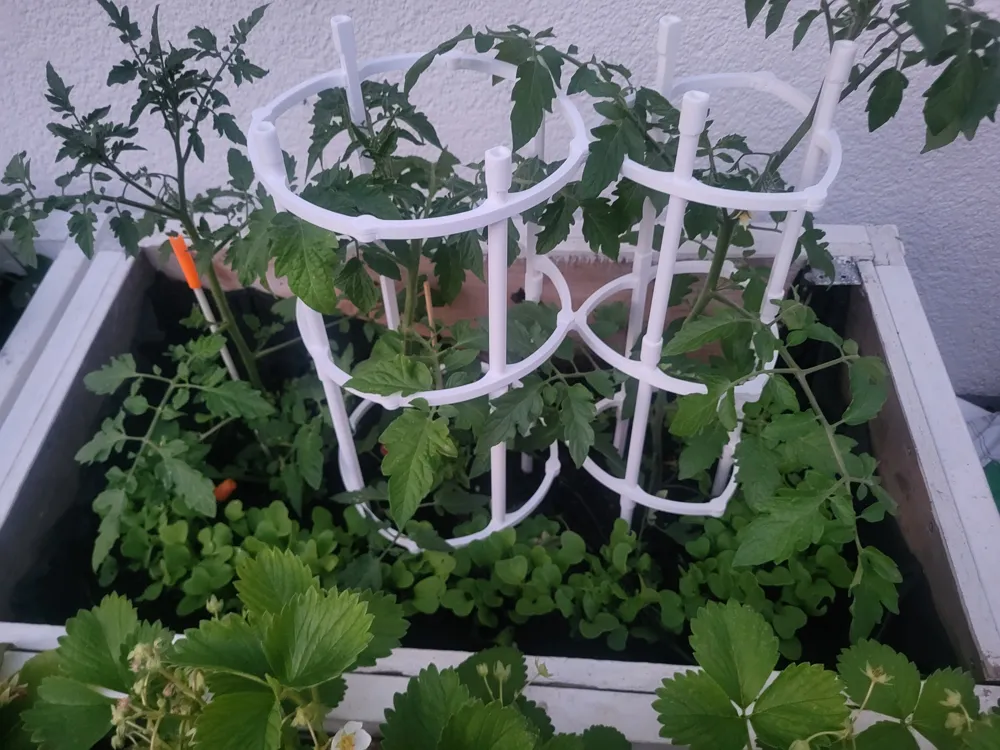 Modular Tomato Support ring. Plants. Vegetables. by Konrados MakerWorld ...