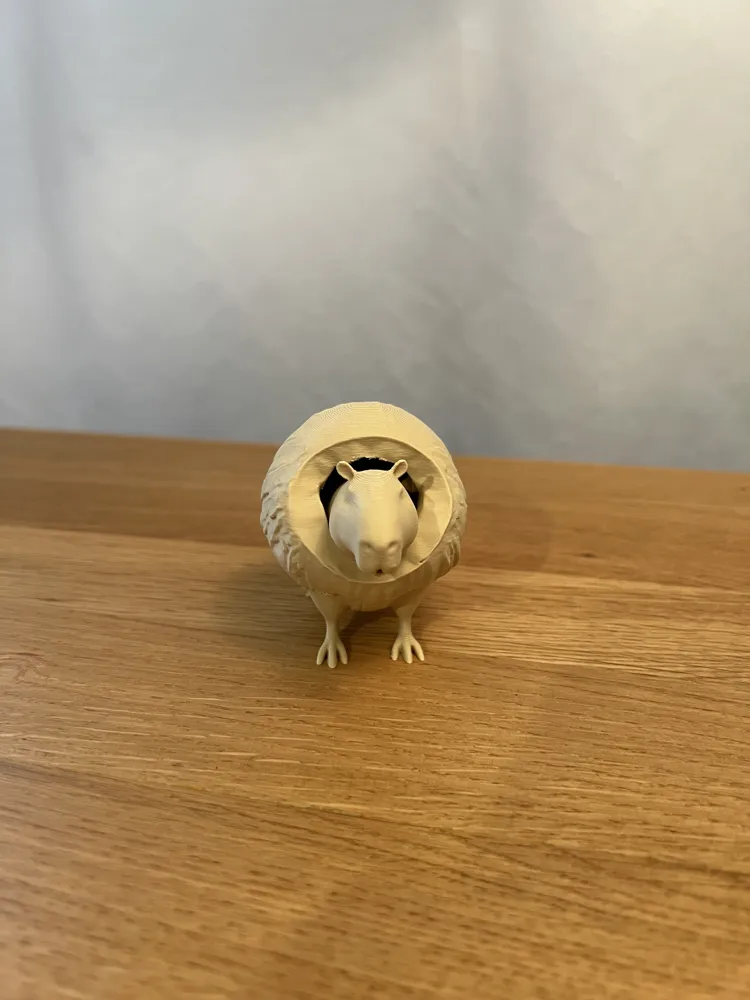 Burbaloni Loliloli - Coconut Capybara by fifindr MakerWorld: Download ...