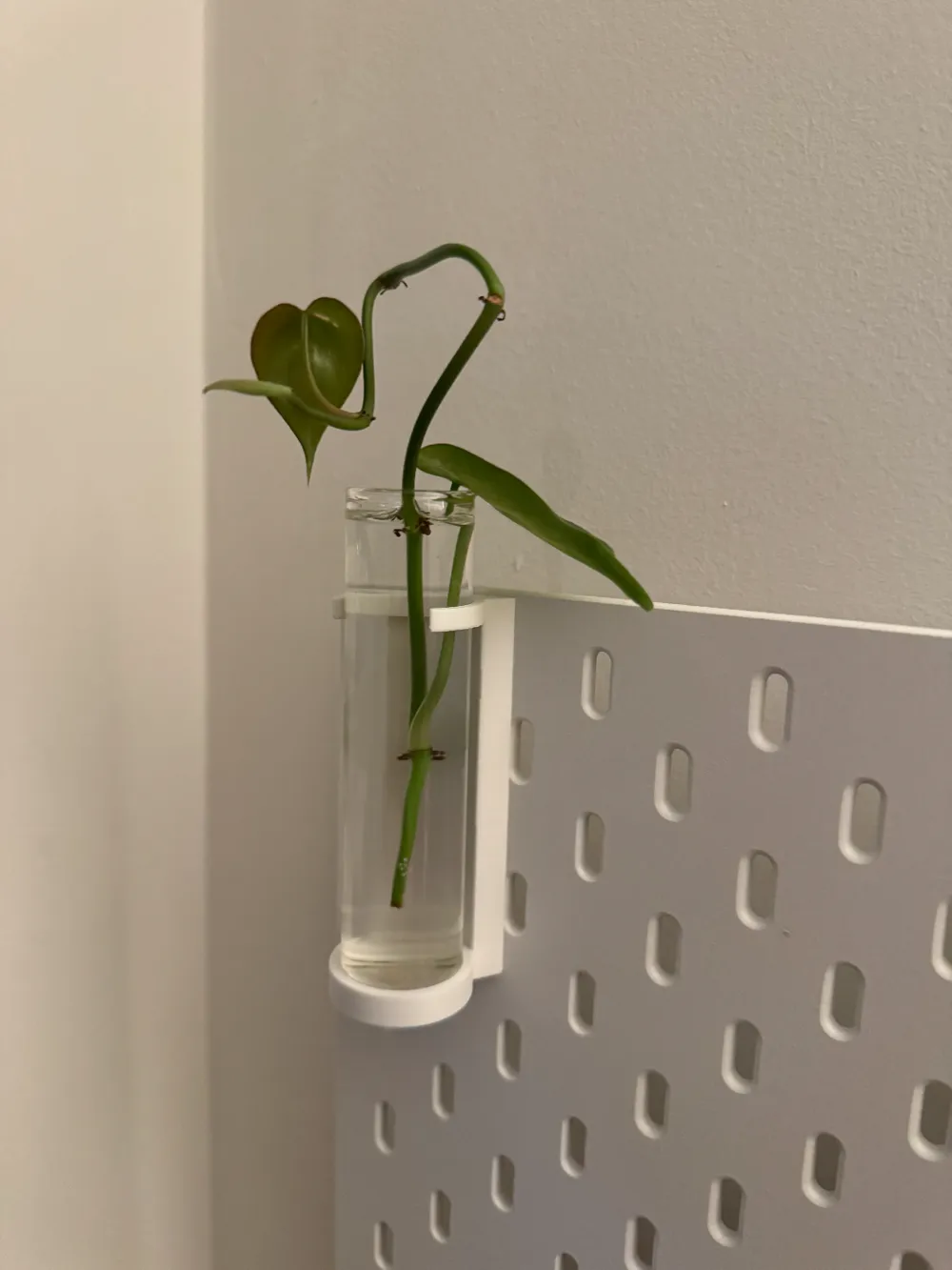 Skadis Glass Tube Plant Holder - Free 3D Print Model - MakerWorld