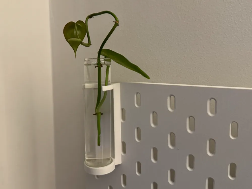 Skadis Glass Tube Plant Holder - Free 3D Print Model - MakerWorld