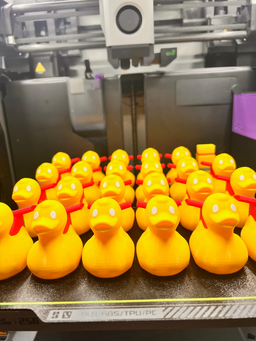 Carnival Cruse Rubber Duck by terrianj - MakerWorld