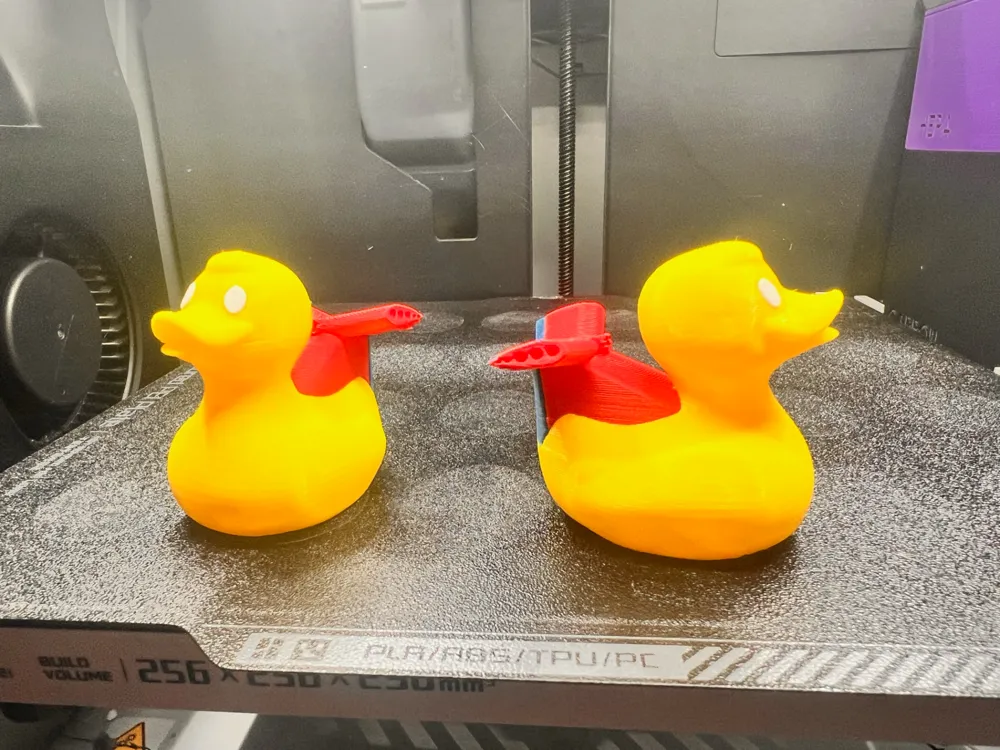 Carnival Cruse Rubber Duck by terrianj - MakerWorld