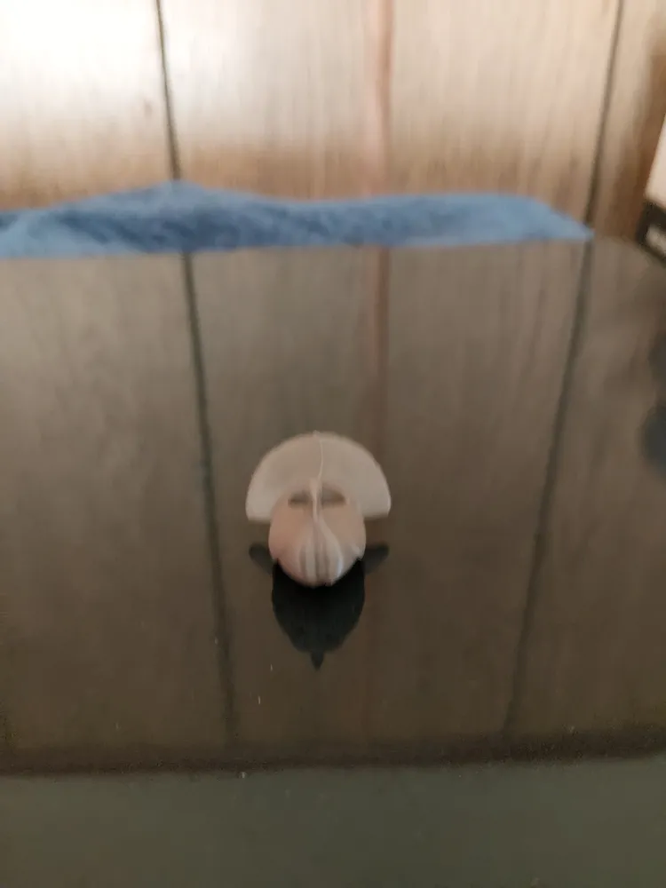 Turkey Straw Topper by Snugs-3D MakerWorld: Download Free 3D Models