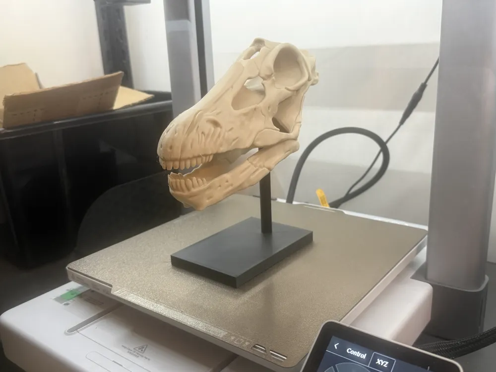 Apatosaurus / Brontosaurus Skull Replica + Stand - Free 3D Print Model ...