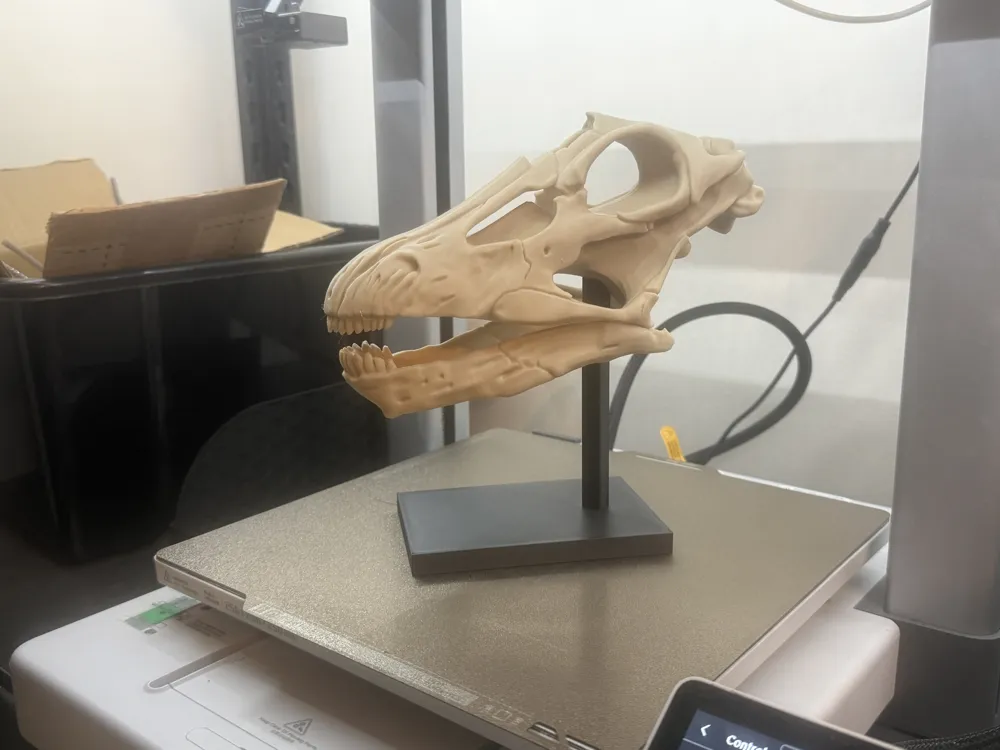 Apatosaurus / Brontosaurus Skull Replica + Stand - Free 3D Print Model ...