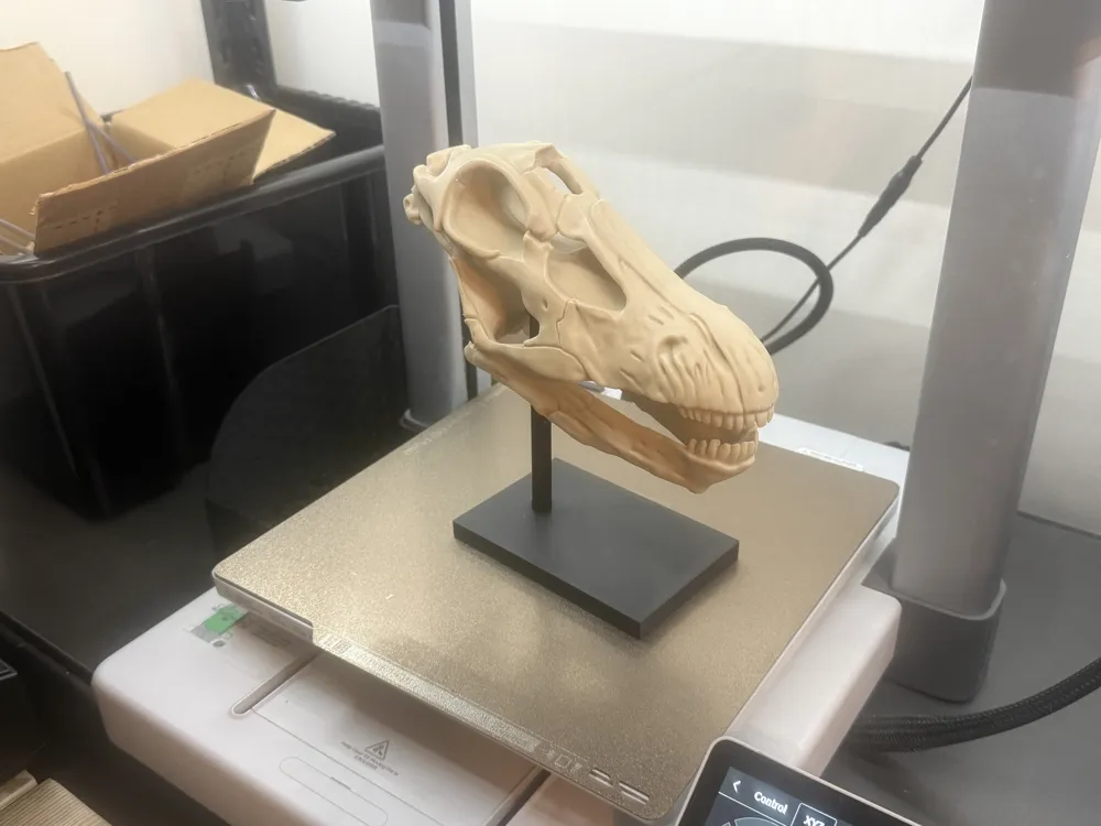 Apatosaurus / Brontosaurus Skull Replica + Stand - Free 3D Print Model ...