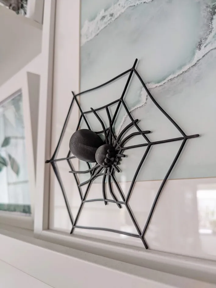 Spider in cobweb by noodrinaryleaf - MakerWorld