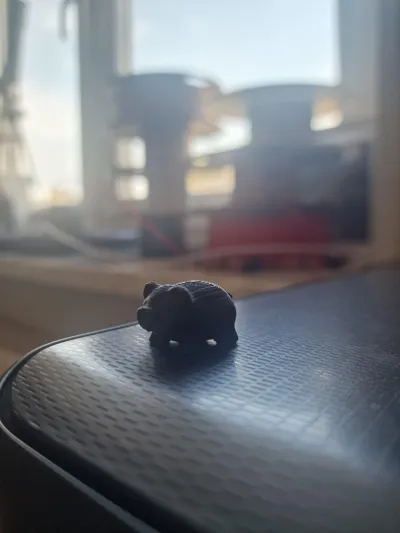 Mini Cerdo Inquieto - Micro Zoo - Modelo de impresión 3D gratuito ...