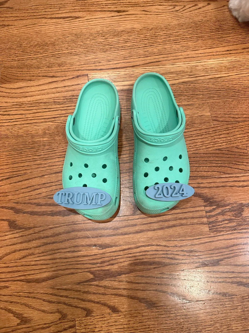 Trump 2024 Croc Jibbit by Jely3DMakerWorld: Download Free 3D Models