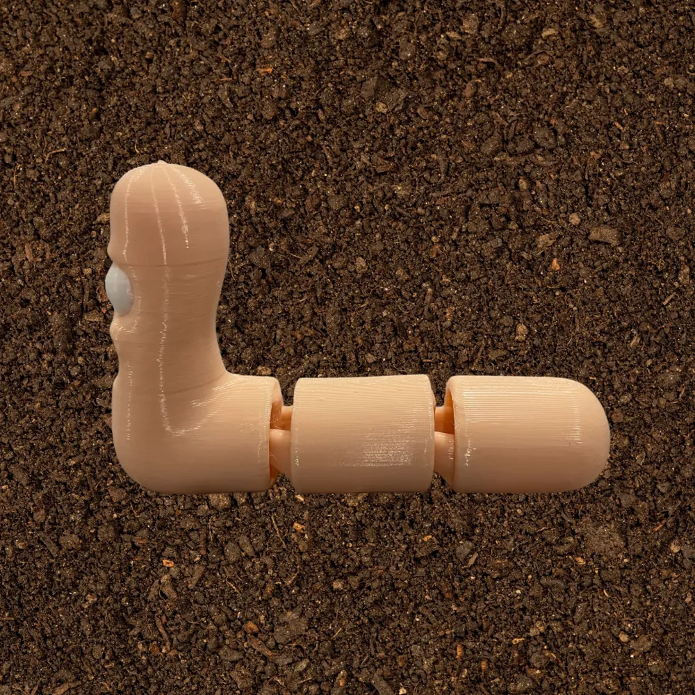 Articulated Worm Toy by Entopop - MakerWorld