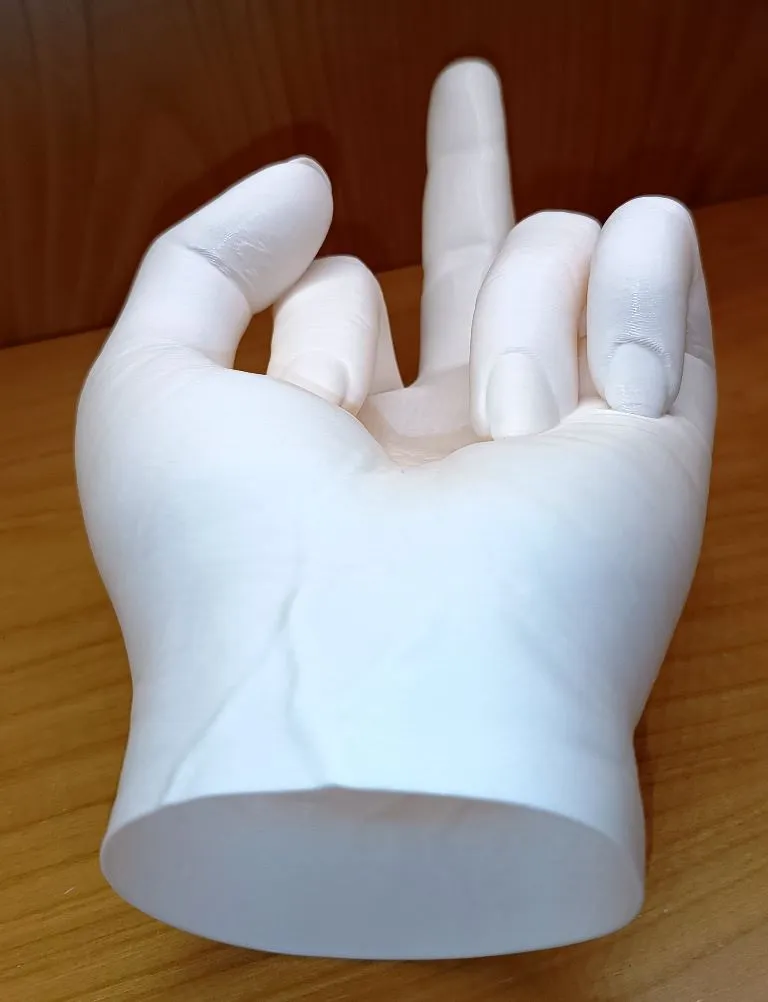 hand middle finger lamp by pietrodc62 MakerWorld: Download Free 3D Models