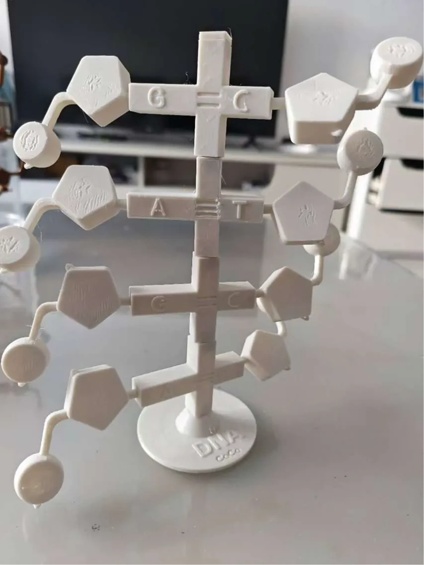 DNA double helix by 7758 - MakerWorld