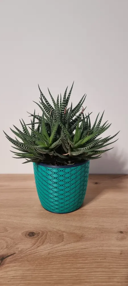 Modern Kumiko Planter - - Free 3D Print Model - MakerWorld