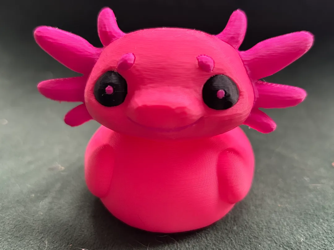 axolotl duck by boxy MakerWorld: Download Free 3D Models