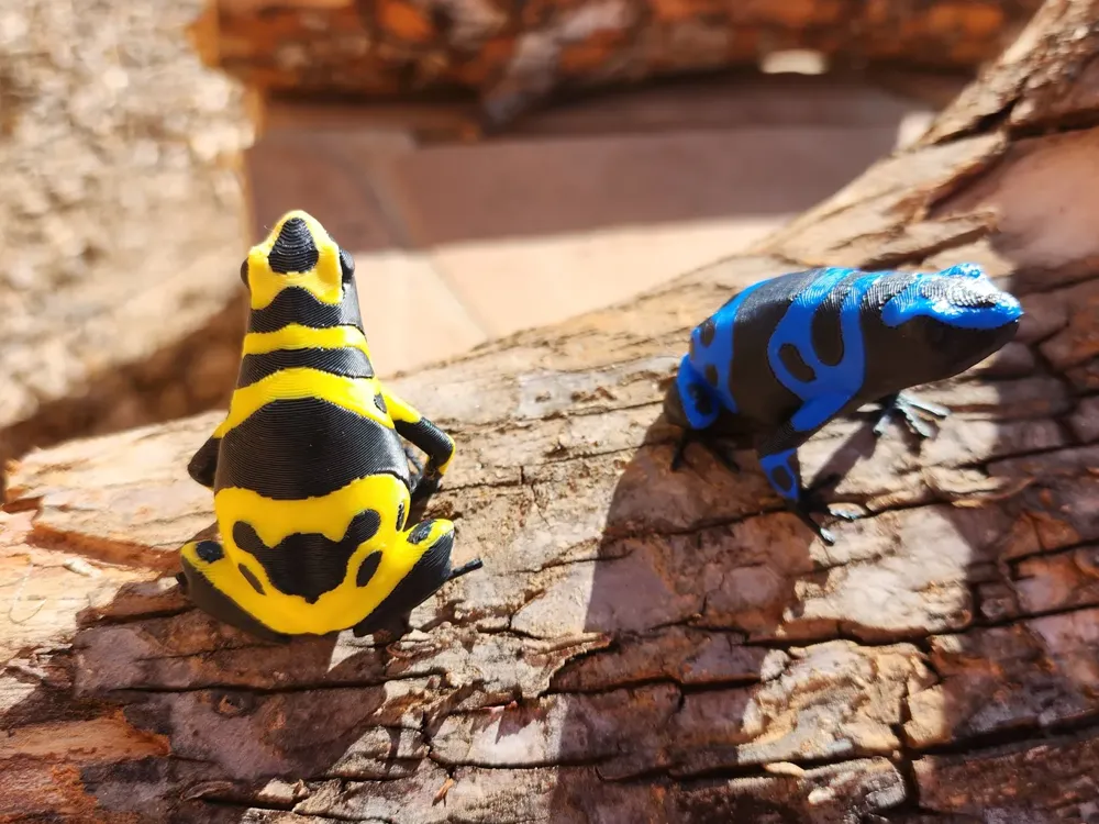 Dart Frog // MultiColor D. Leucomelas figure - MakerWorld 3D Model | 3Drop