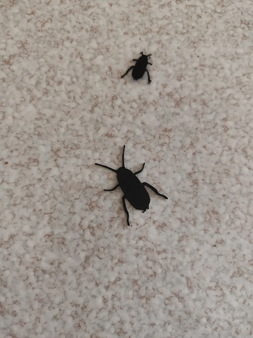 beatle , cockroach , prank by 🔥Bacongo3D🔥 MakerWorld: Download Free 3D ...